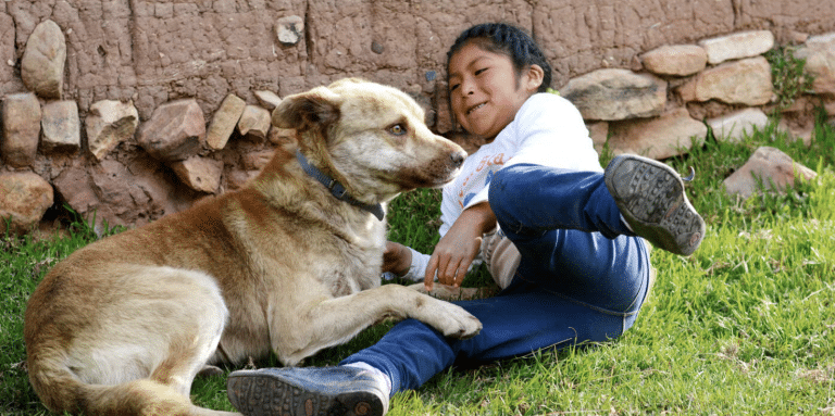 6 de julio, Día Internacional de la Zoonosis